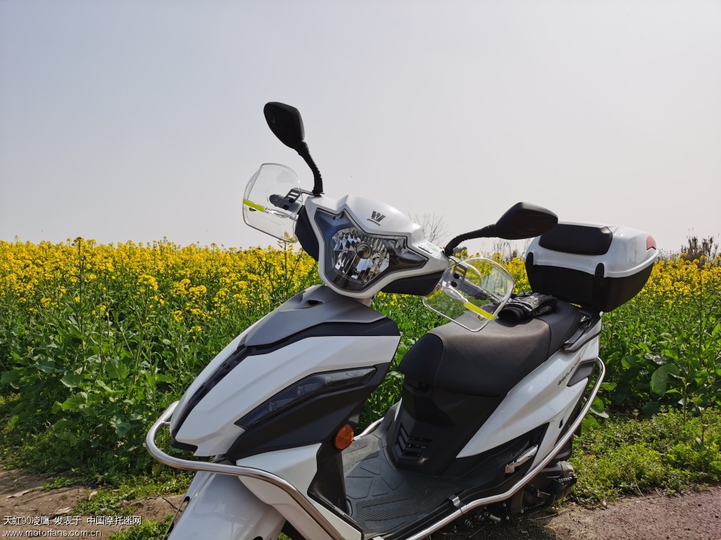 usr125改款,usr125新款,2021款豪爵usr125(第12页)_大山谷图库